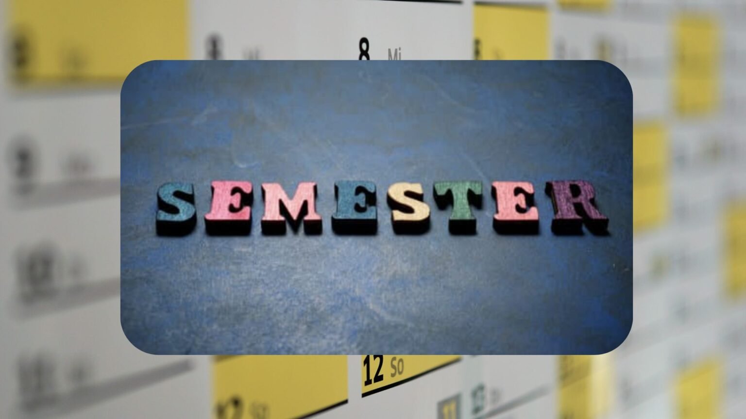 Semestral, Cuatrimestral o Trimestral: ¿Cuál es Mejor para Ti?