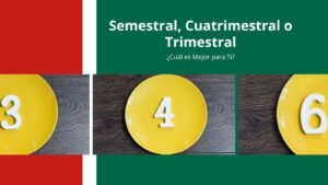 Semestral, Cuatrimestral o Trimestral: ¿Cuál es Mejor para Ti?